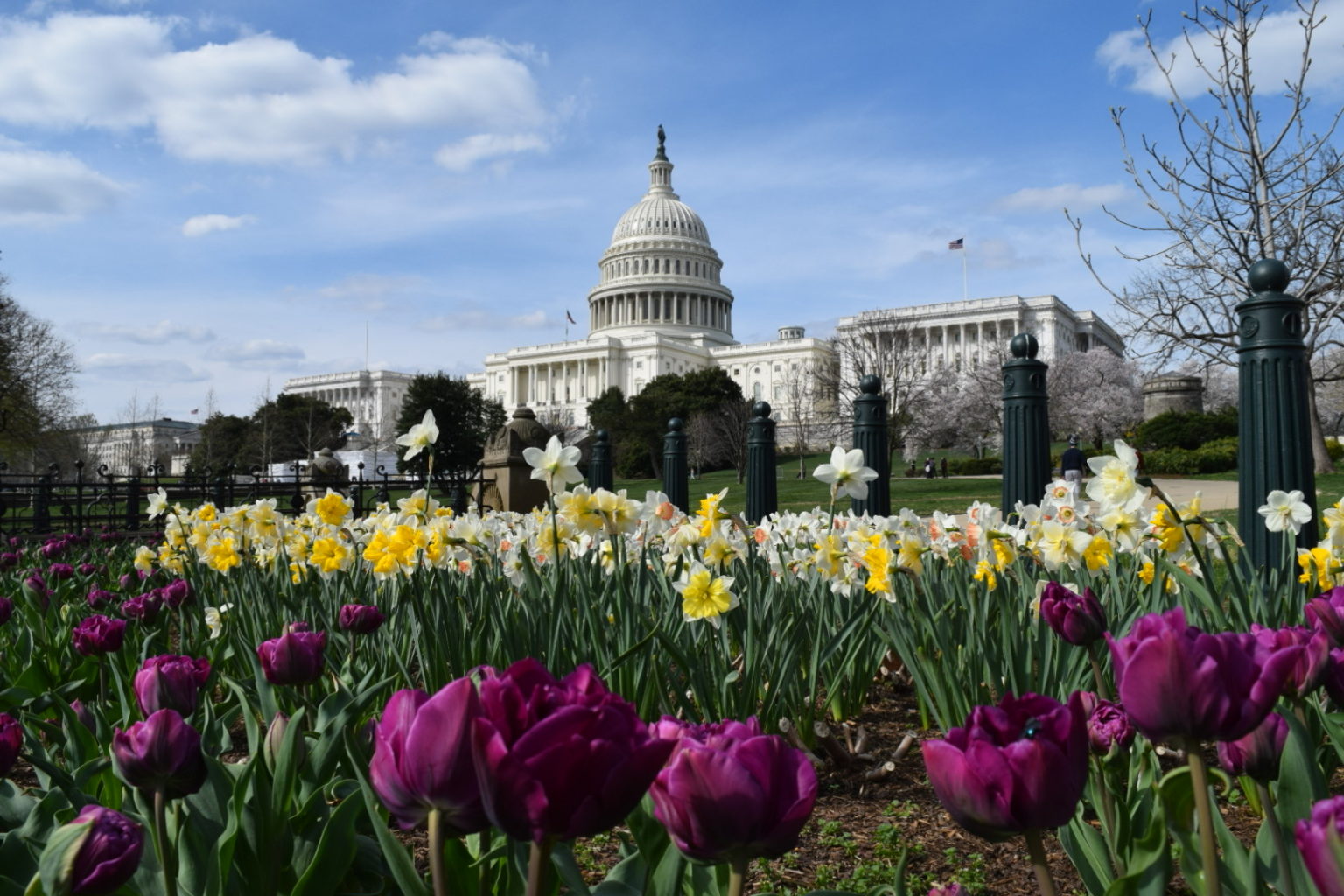 U.S. Capitol Tours | United States Capitol Historical Society